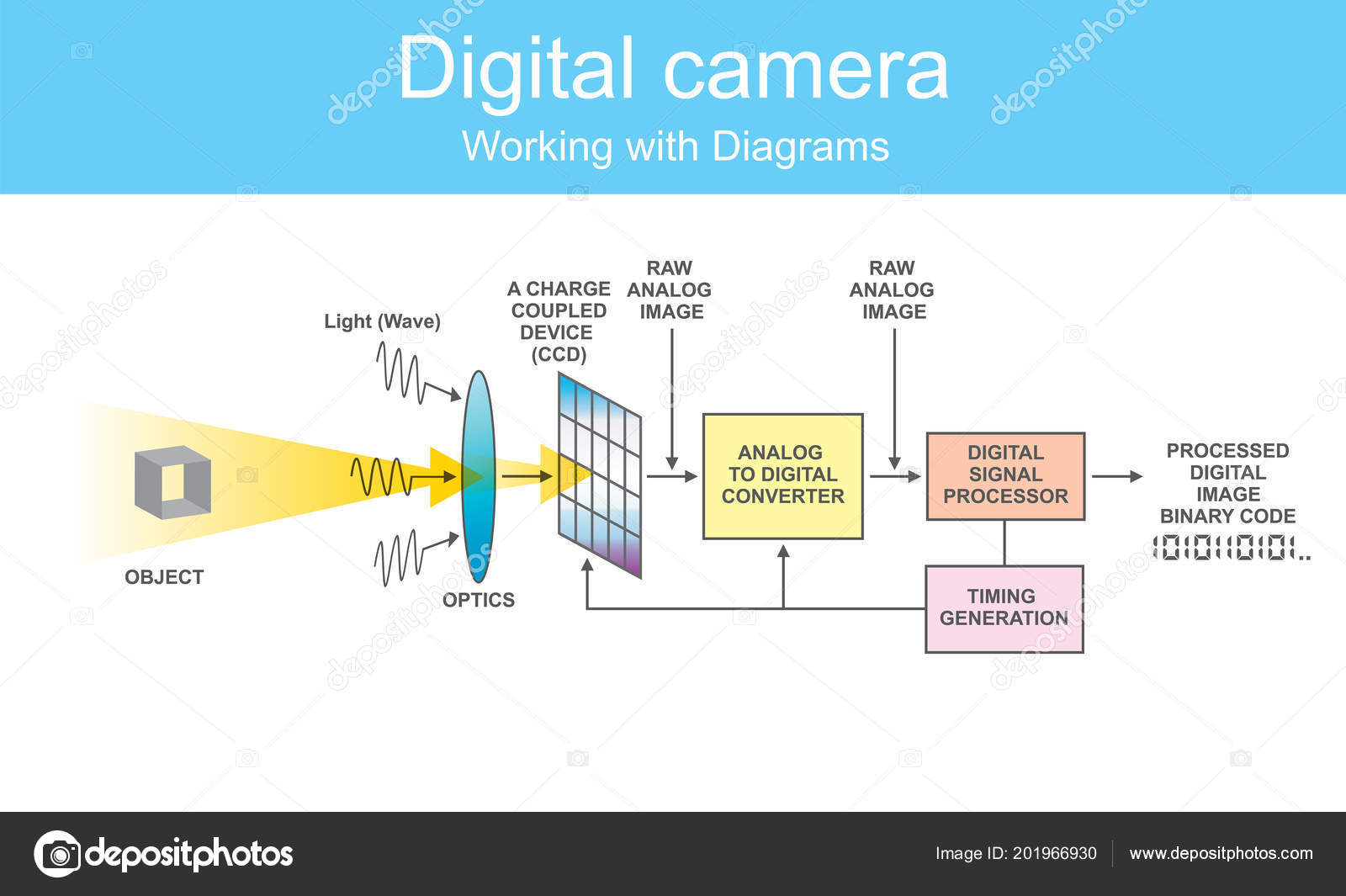 Twin Lens Reflex Camera Diagram | ppgbbe.intranet.biologia.ufrj.br