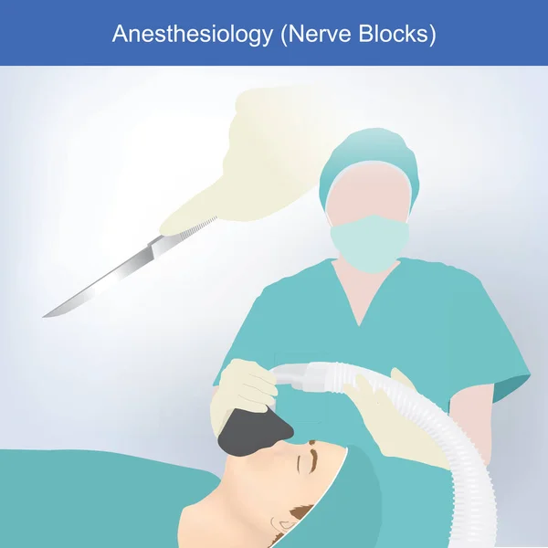Anaesthesiologist Stock Vectors, Royalty Free Anaesthesiologist ...