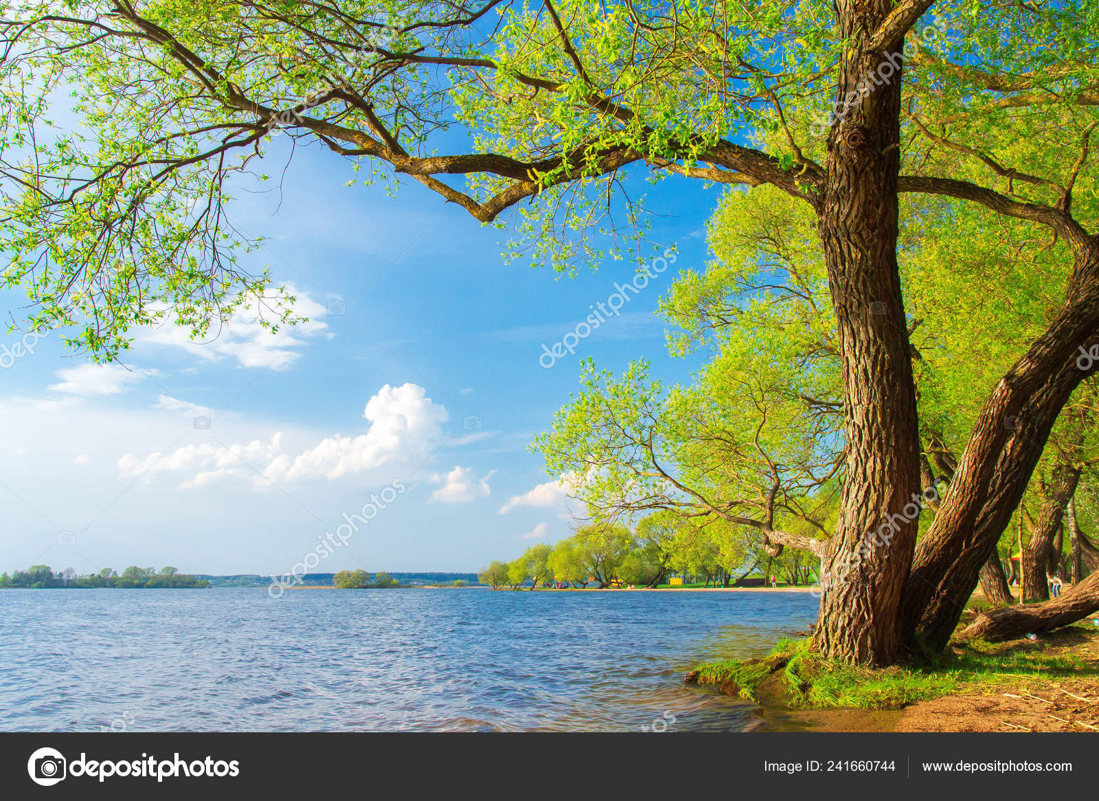Water Spring Scenery