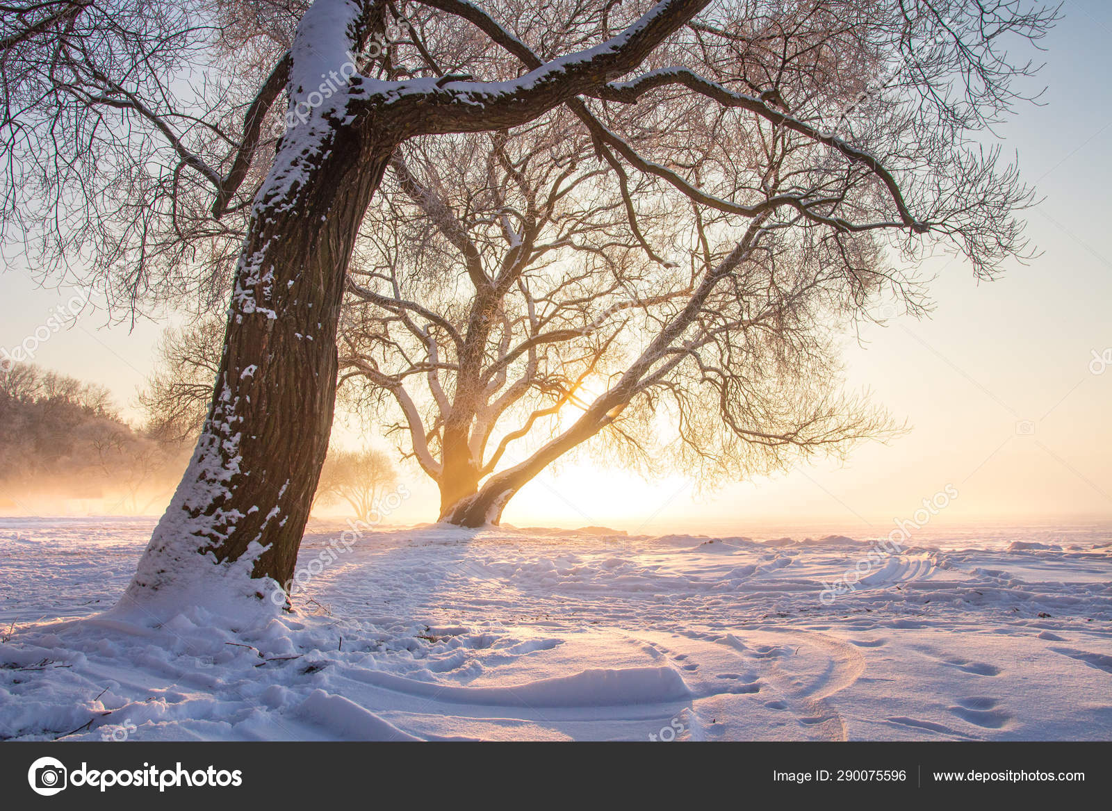 Peaceful Winter Wallpaper