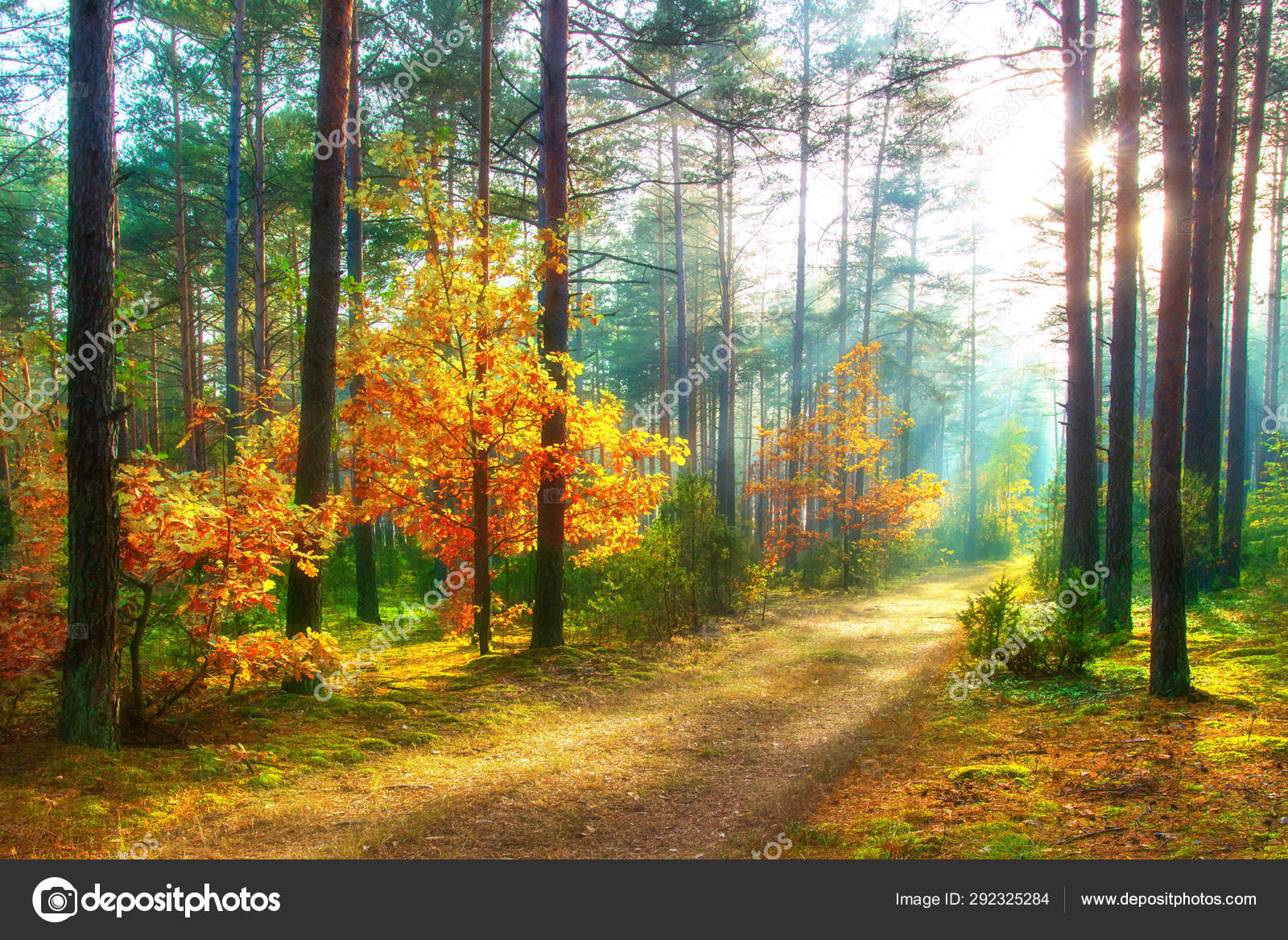 October Nature Pictures