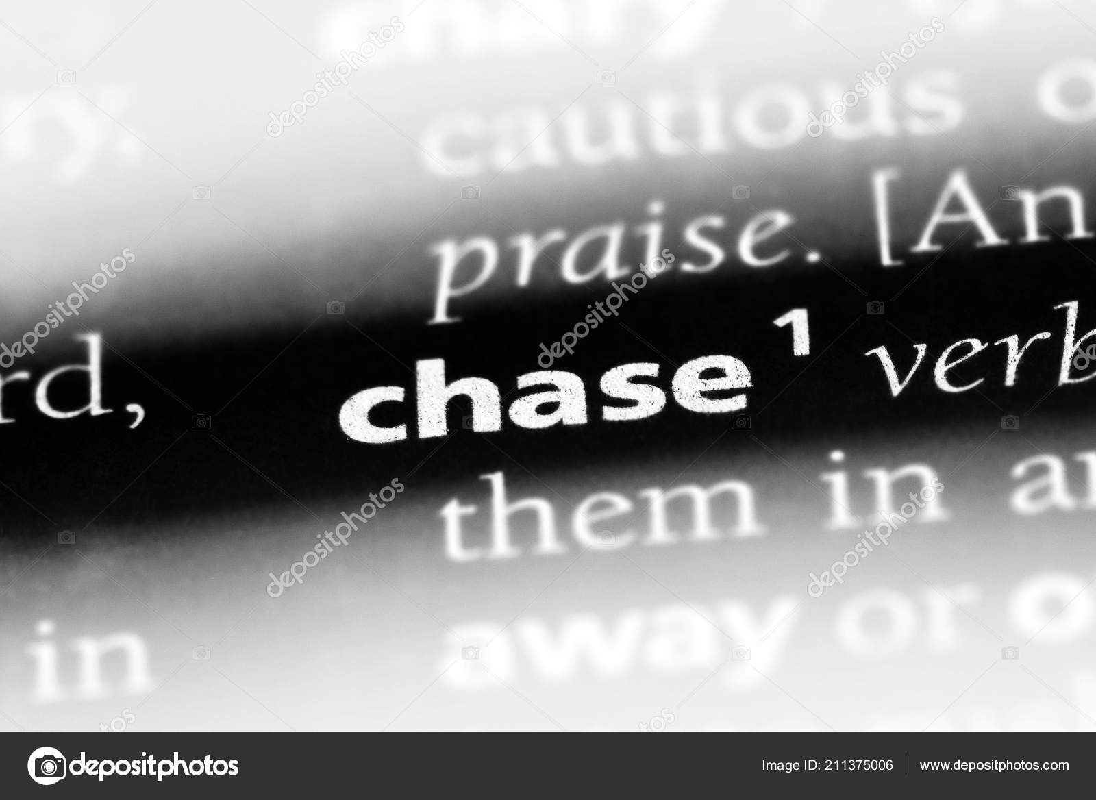 Chase Word Dictionary Chase Concept — Stock Photo © Casimiro_PT #211375006