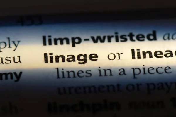 Linage Pictures, Linage Stock Photos & Images | Depositphotos®