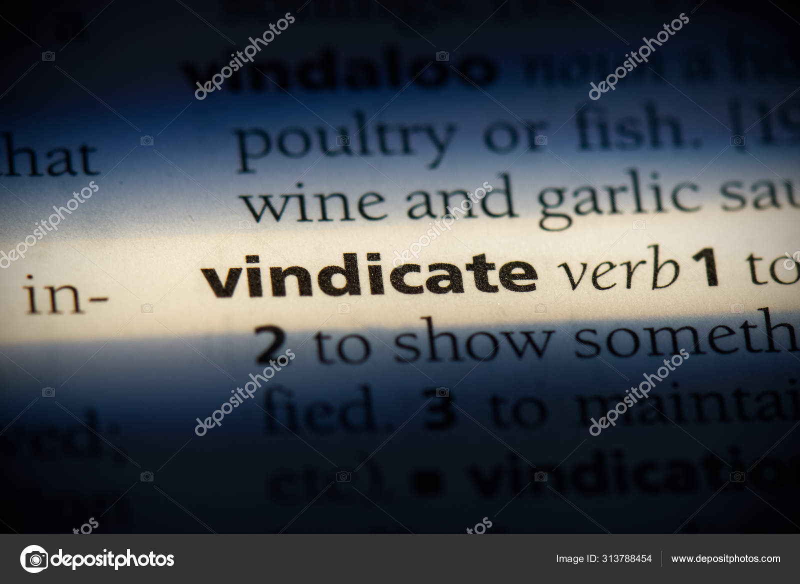 Vindicate Stock Photo by ©Casimiro_PT 313788454