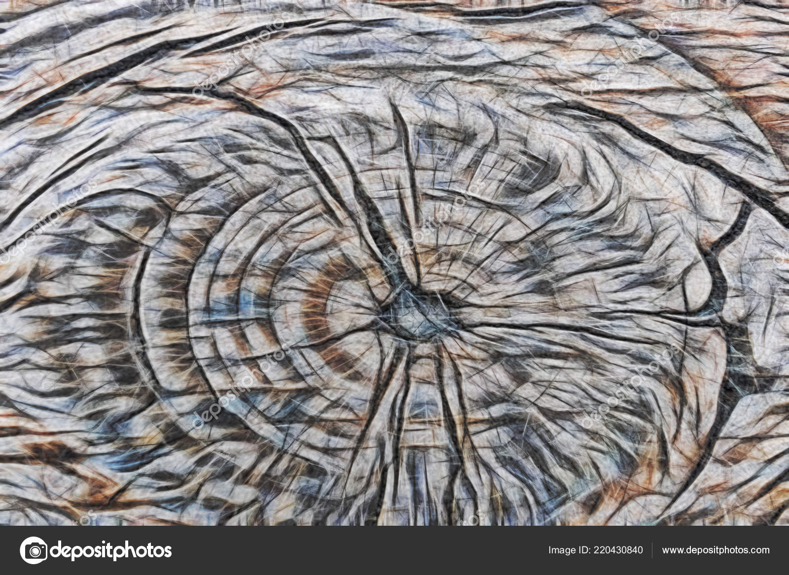 Close Tree Body Nature — Stock Photo © yskandag #220430840