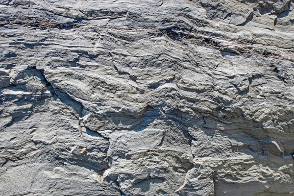 The paleozoic era Stock Photos, Royalty Free The paleozoic era Images ...