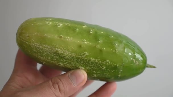 844 Snack cucumbers Videos, Royalty-free Stock Snack cucumbers Footage ...
