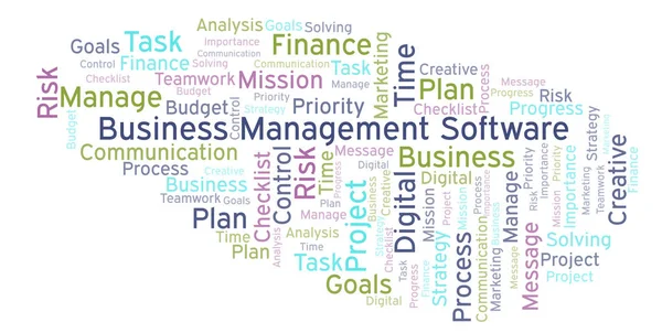 Software de gesti n empresarial word cloud, hecho solo con texto 2024