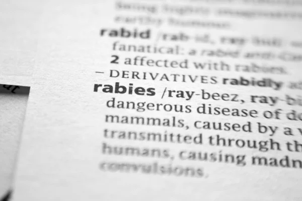 Rabies word Pictures, Rabies word Stock Photos & Images | Depositphotos®