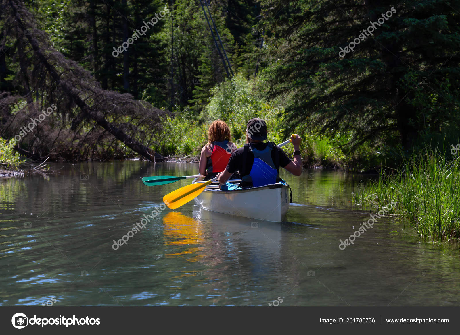 Couple Adventurous Friends Canoeing River Surrounded Canadian Nature ...