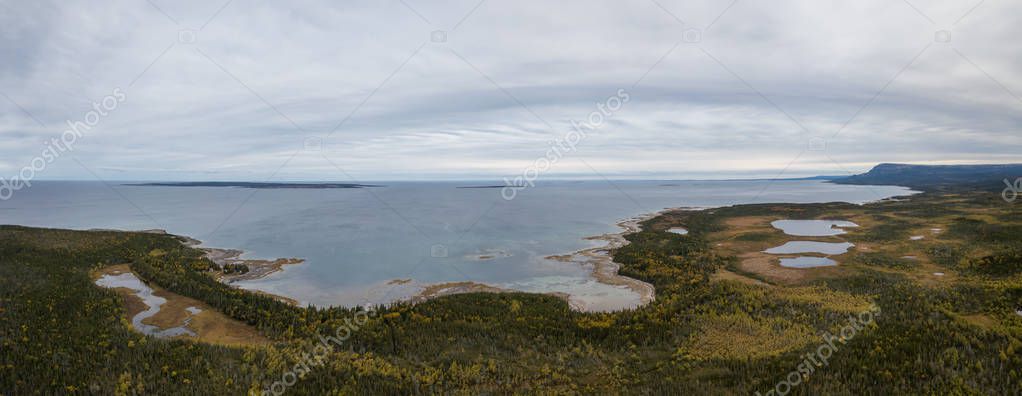 Labrador sea Stock Photos, Royalty Free Labrador sea Images | Depositphotos