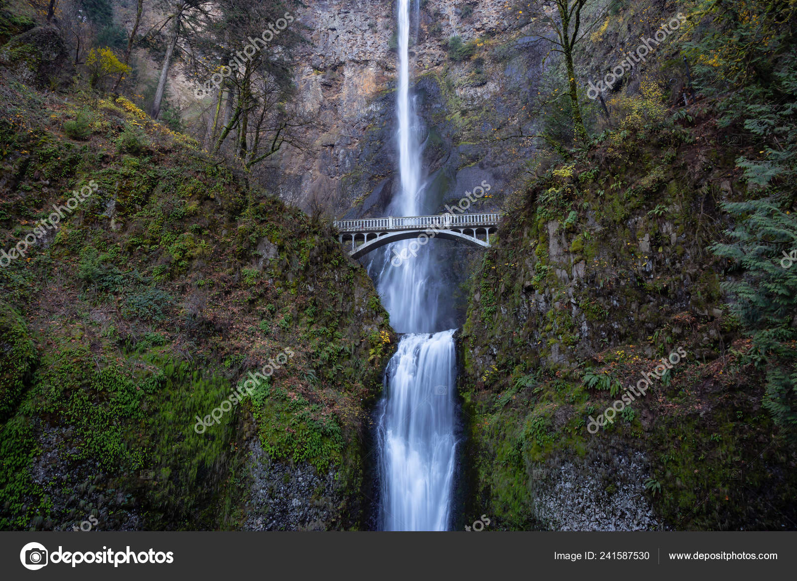 Multnomah Falls Wallpaper