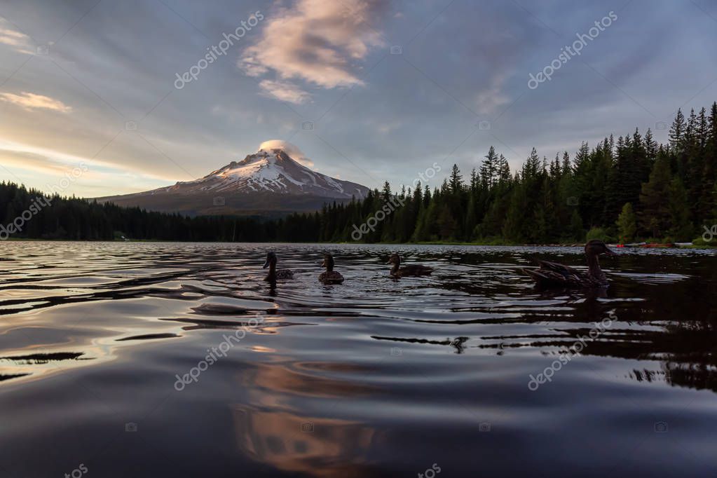 Hermosa vista panorámica del monte Hood durante una espectacular puesta ...