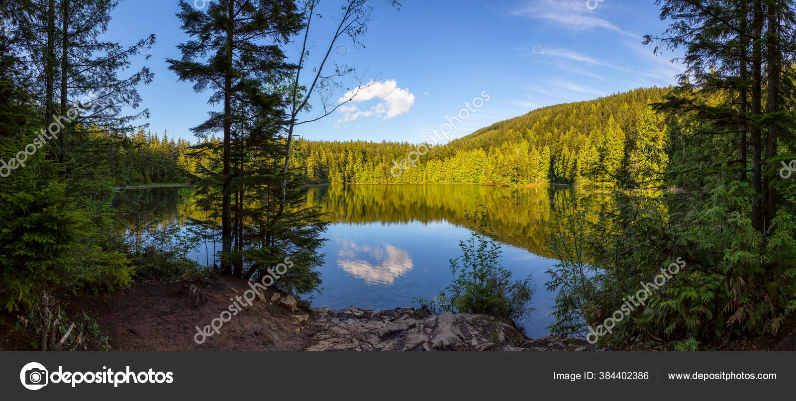 Canadian Nature in Forest Stock Photo by ©edb3_16 384402386