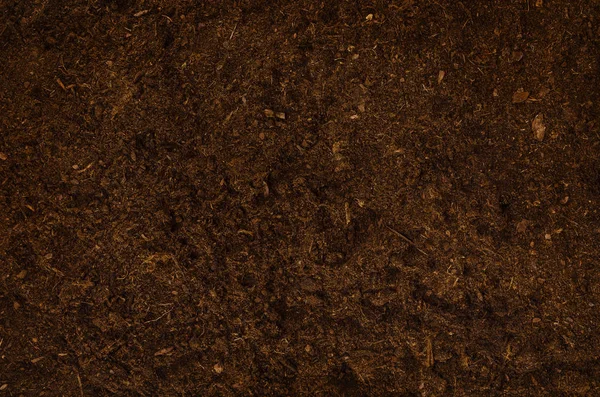 Soil Background Texture