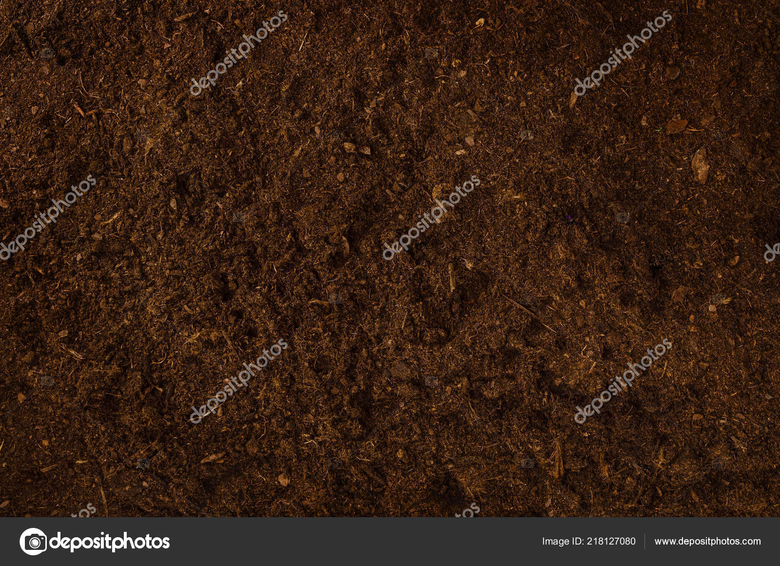 Fertile Soil Texture