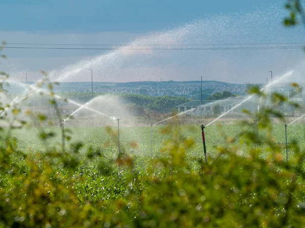 Irrigation sprinklers crops Stock Photos, Royalty Free Irrigation ...