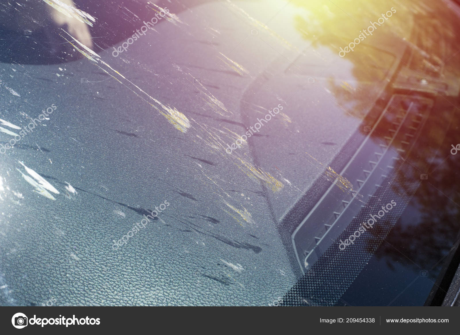 Insect Stains Car Glass Windshield Dead Insects Flies Mosquitoes ...