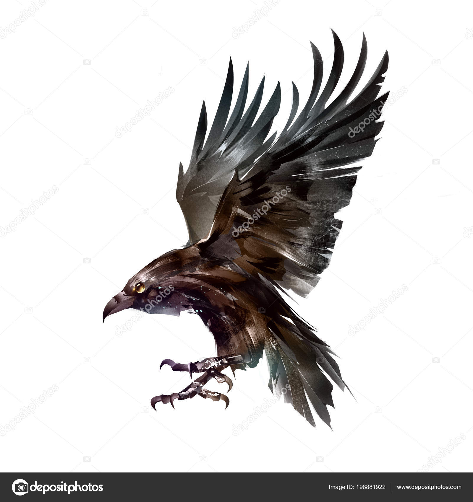 Color isolated sketch bird crow in flight Stock Illustration by ©khius ...