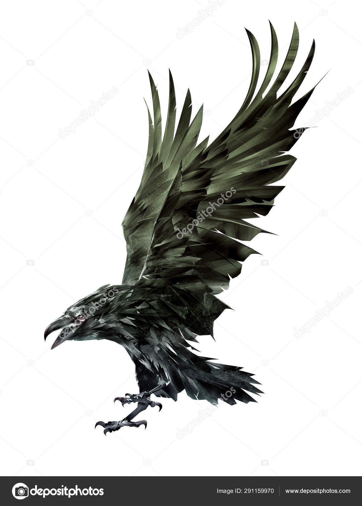 Raven Bird Art