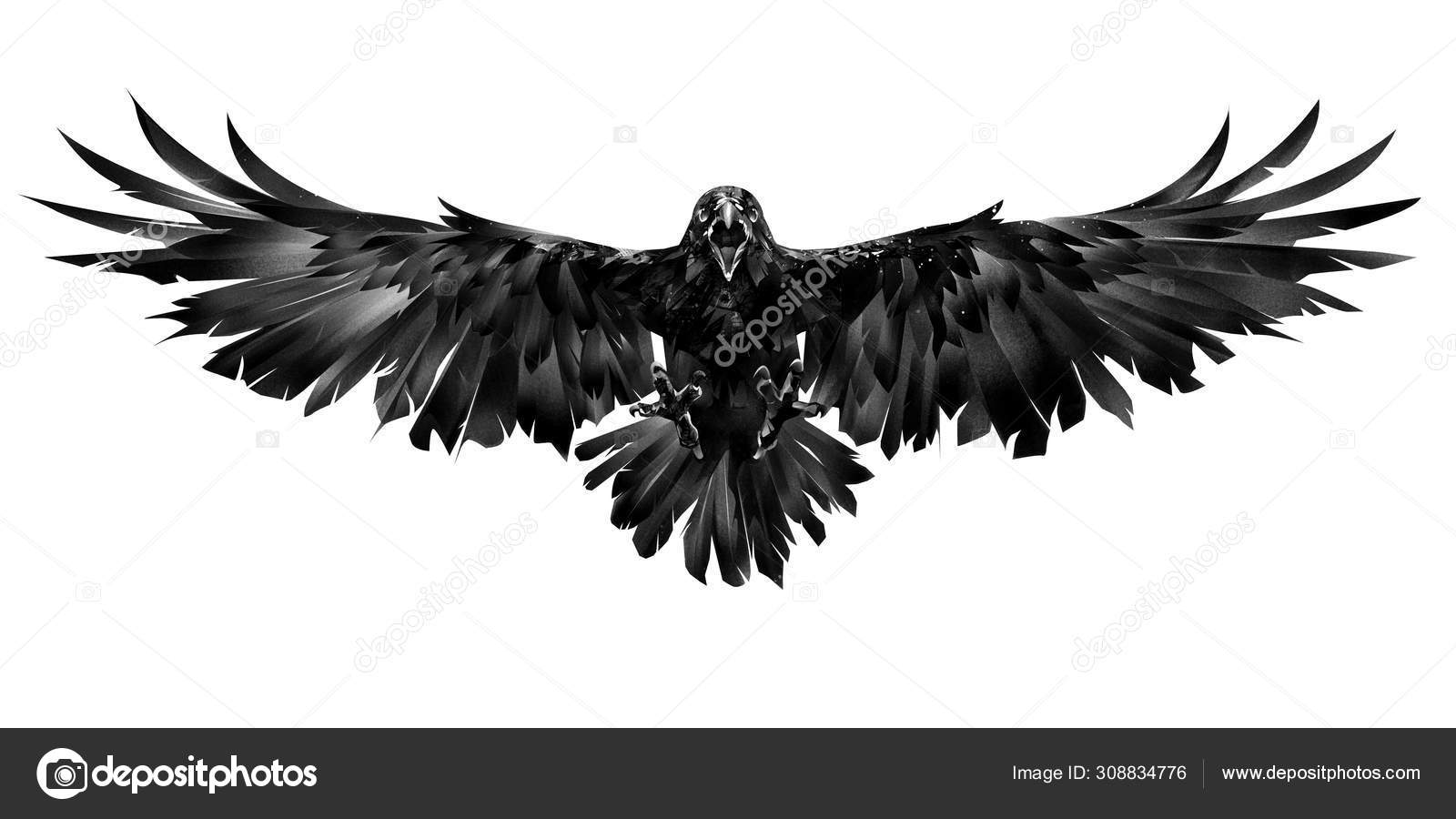 Fliegender Rabe Zeichnung