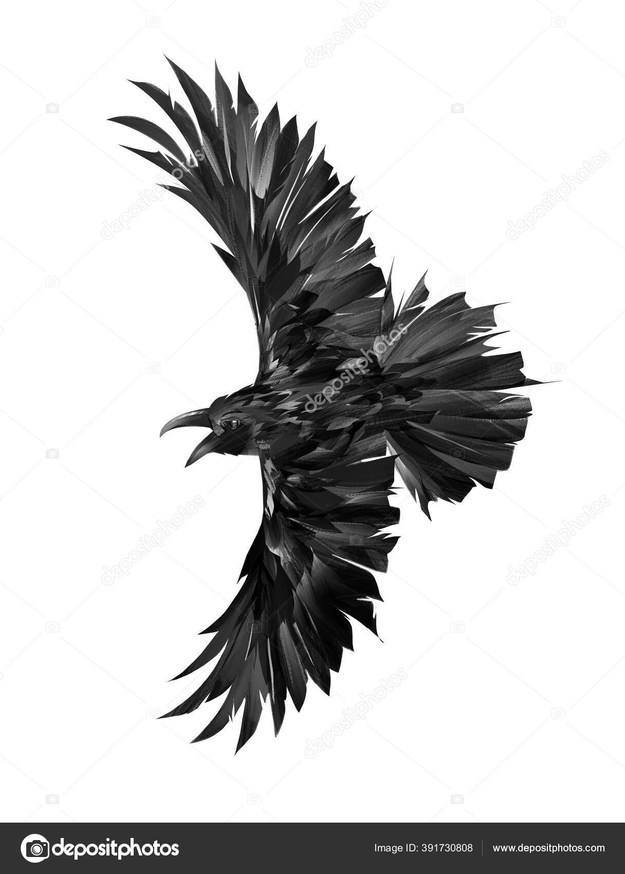 Flying Raven Sketch Black Flying Raven Silhouette Stock Illustrations