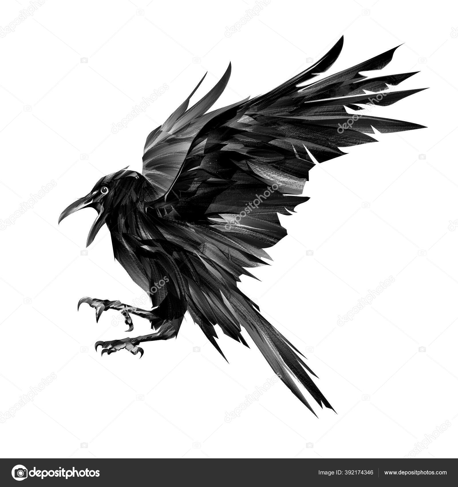 Ravens Flying Drawing