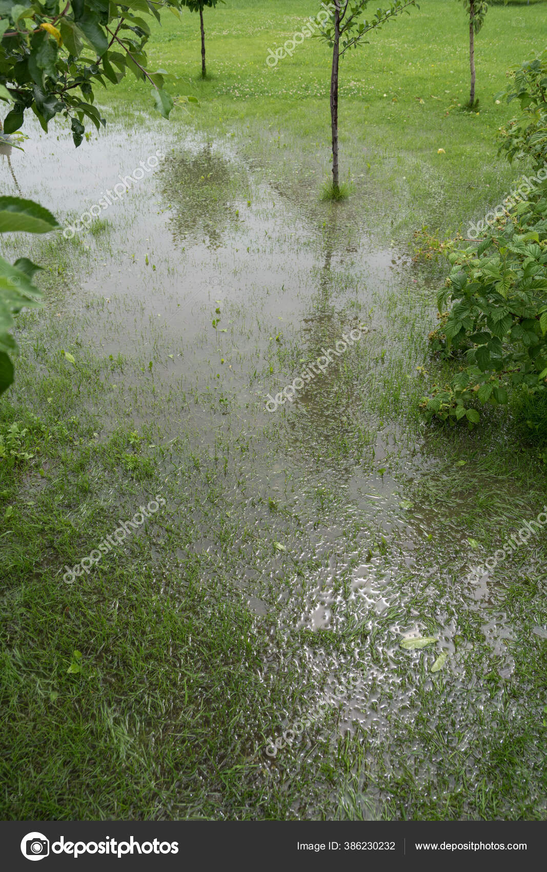 Jardín Está Inundado Consecuencias Del Aguacero Inundación Verano ...