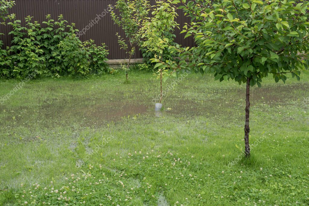 El jardín está inundado. Consecuencias del aguacero, inundación. Verano ...
