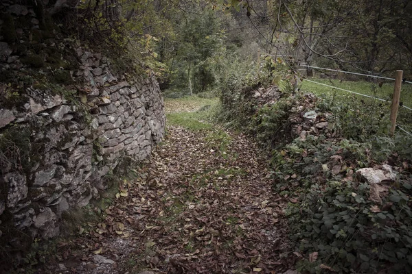 Concept follow the road marked. Path in natural landscape with autumnal ...