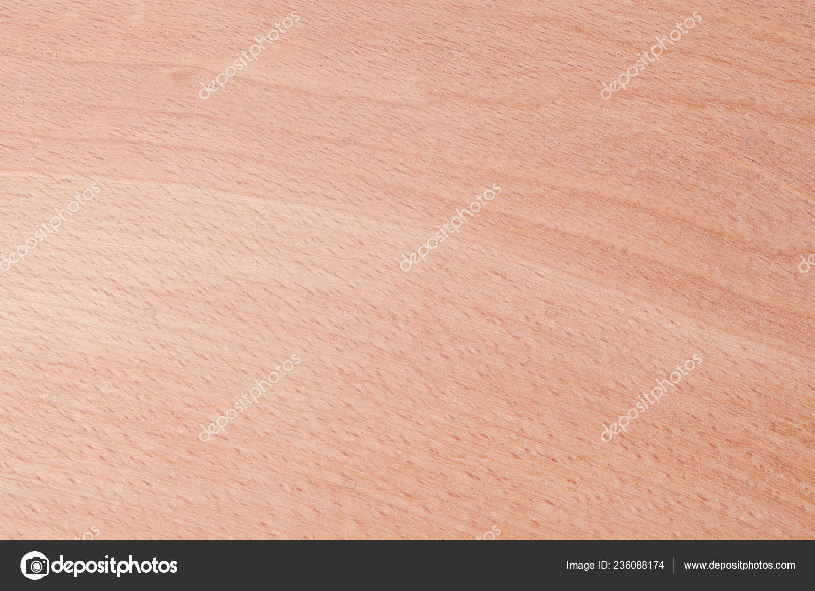 Background Light Wood Tree Structure Wooden Texture Designer Stock ...