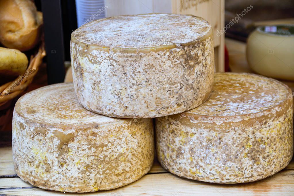 queso pecorino, queso típico de Pienza, Siena, Toscana, Italia 2023