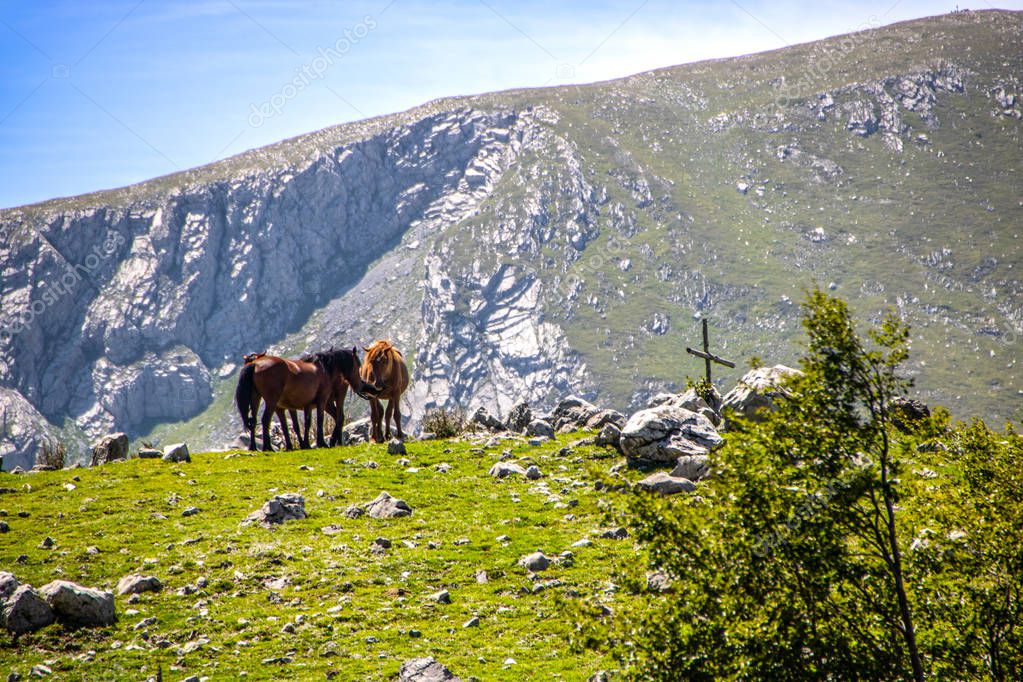 Paisaje del Parque Nacional del Pollino, una amplia reserva natural en ...