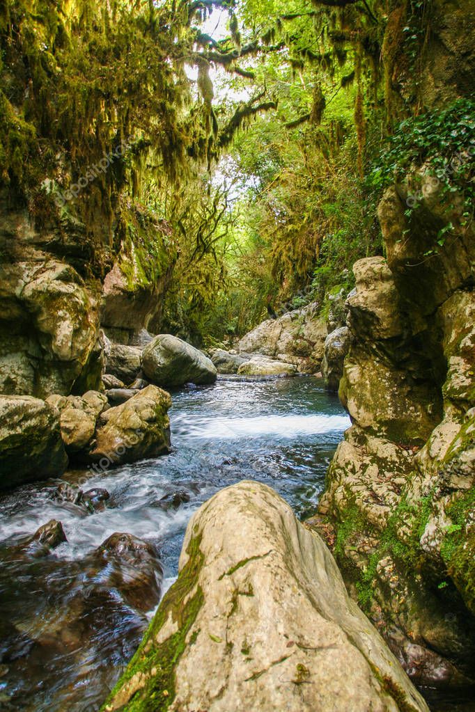 hermoso entorno alrededor del río Bussento resurgimiento, una reserva ...