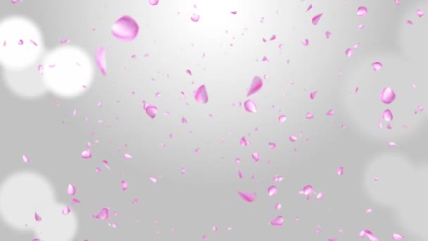 Flower Petal Overlay Free | Best Flower Site