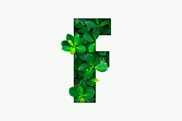 Green letter f Stock Photos, Royalty Free Green letter f Images ...