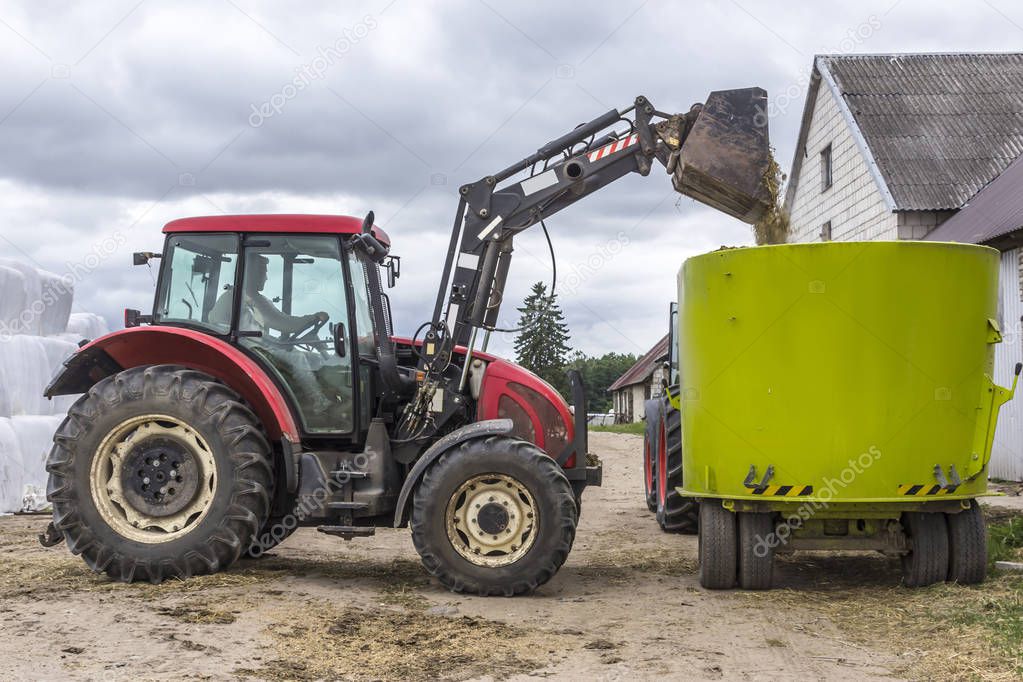 Un tractor con un cargador frontal carga la alimentación en un ...