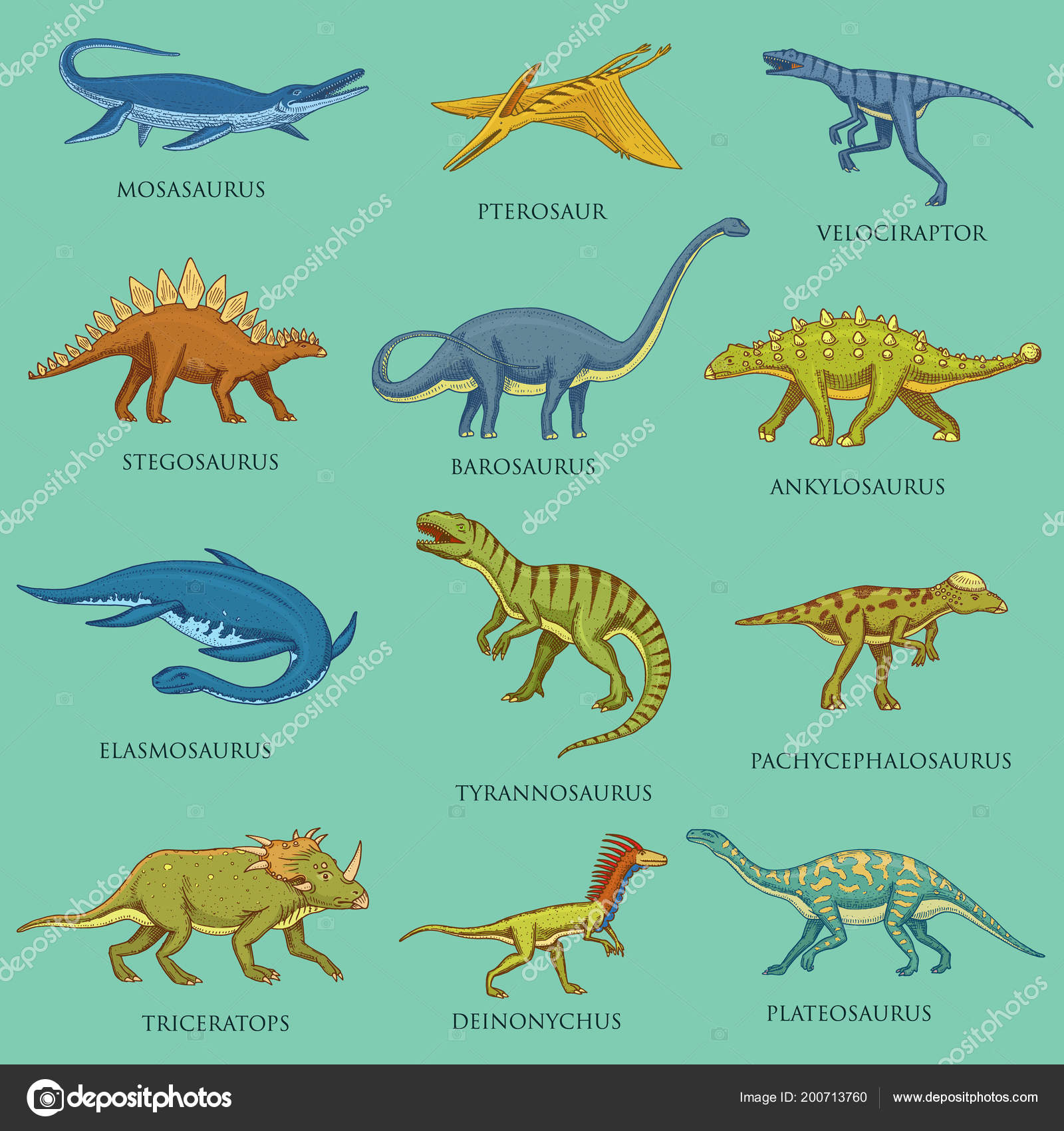 Brontosaurus Vs T Rex