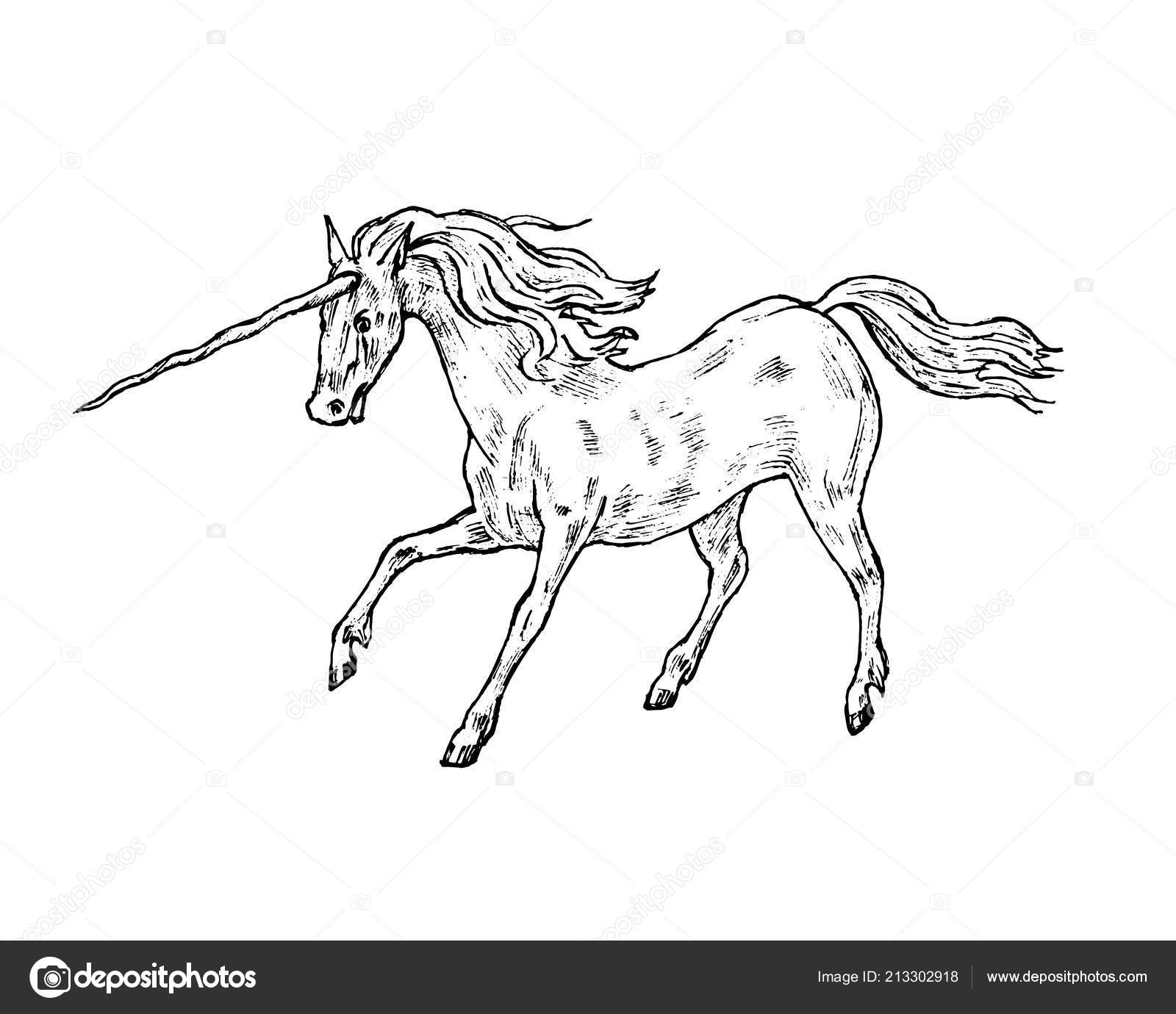 Mythological unicorn. Mythical antique magic animal. Ancient horse ...