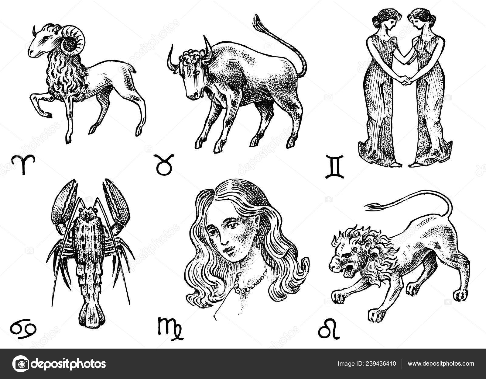 Zodiac Icons Astrology Horoscope With Signs Calendar Template