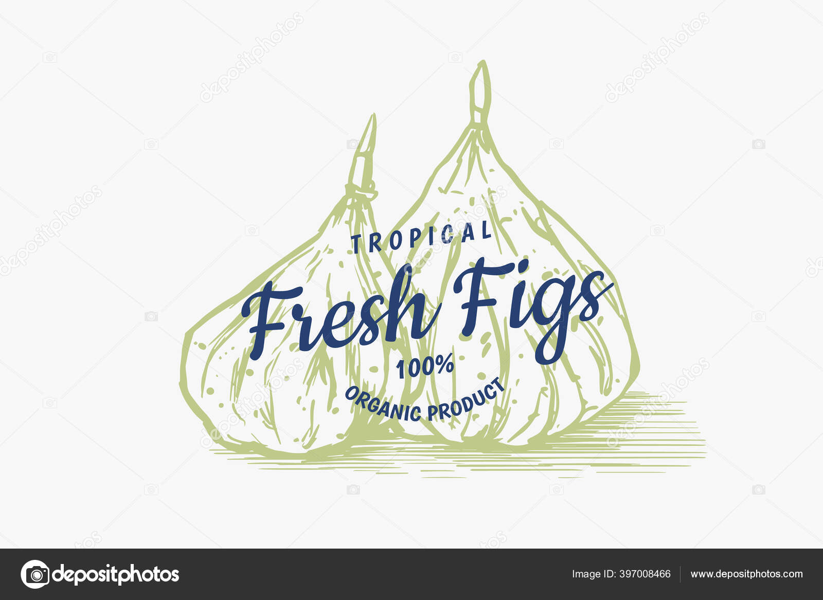 Fresh fig badge. Dried fruit Foliage label or logo. Detox spice. Vector ...
