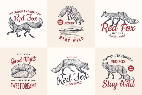Red Fox Illustration Vintage