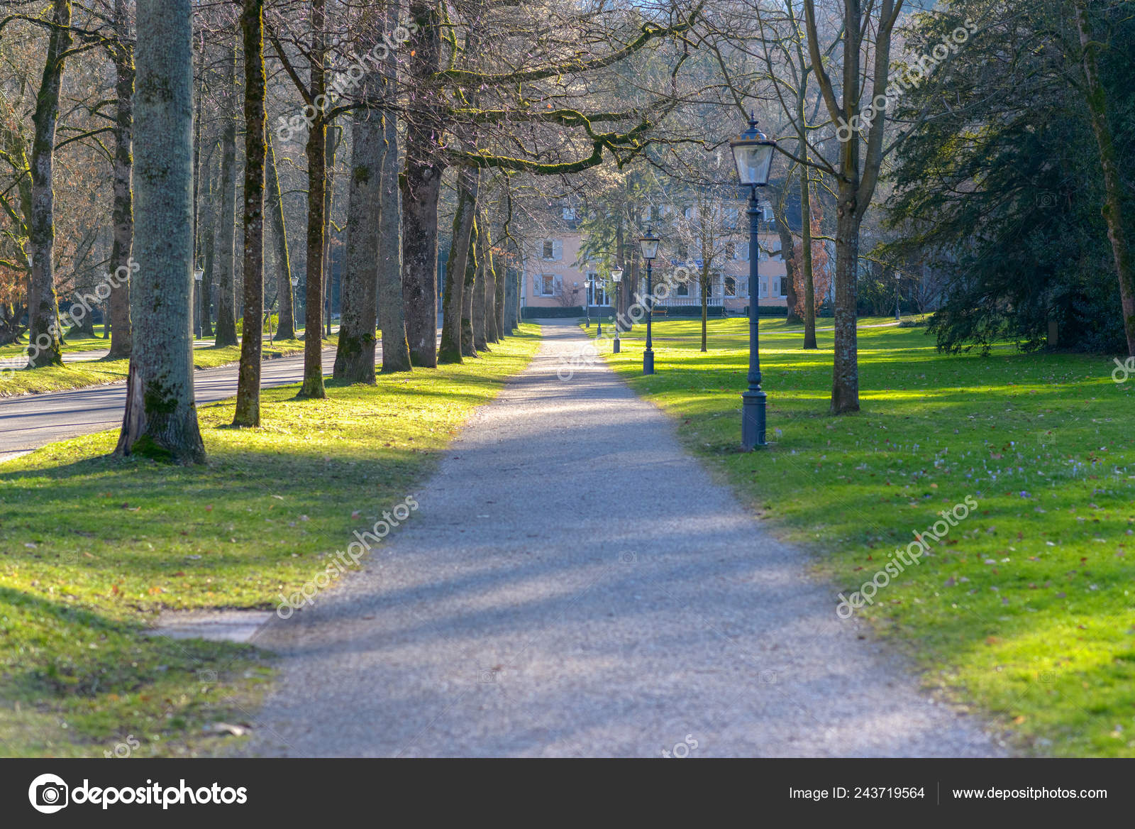 Receding View Empty Path Park Alongside Tree Lined Avenue Green Stock ...