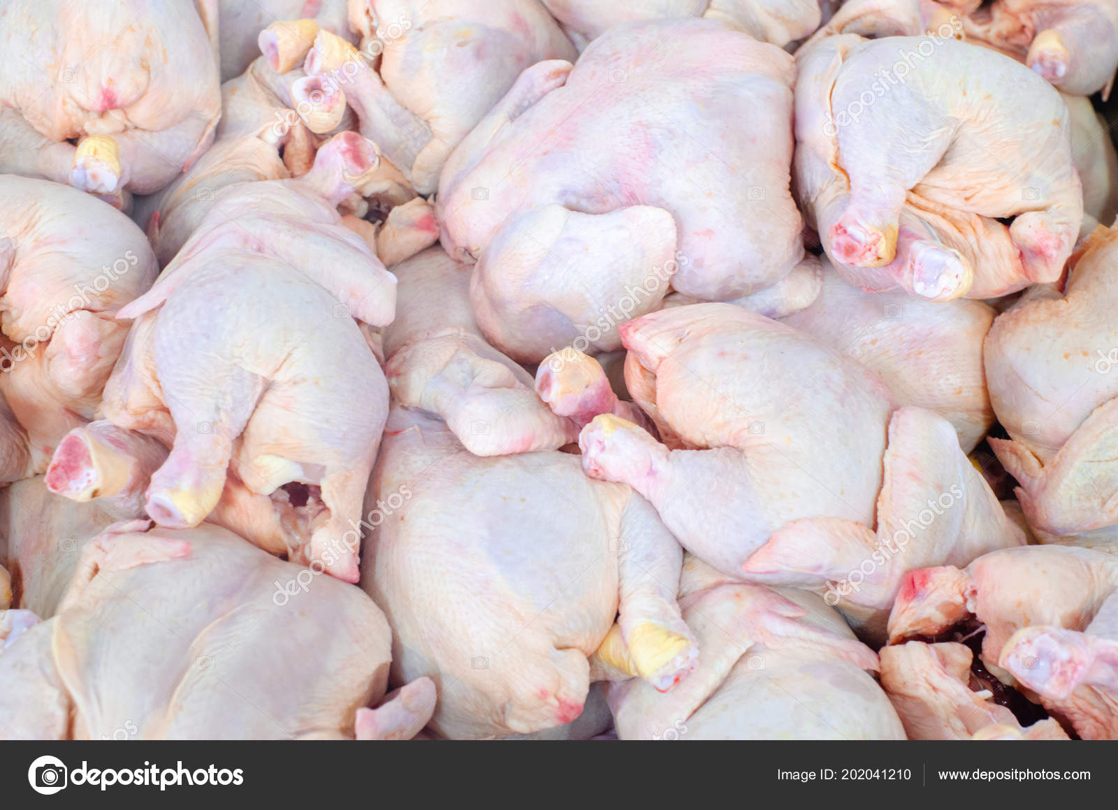 Hen Butcher's Table Chicken Cutting Plant Stock Photo by ©Salomonus ...