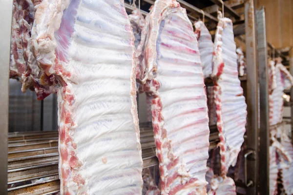 Pork. The line for the production of smoked delicacies. Industrial ...