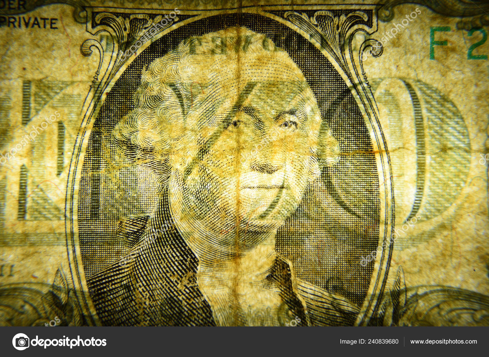 Dollar Paper Texture