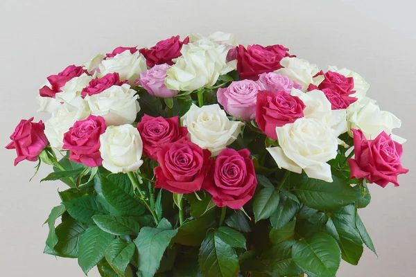 A large bouquet of red, pink and white roses close-up. Congratulations ...