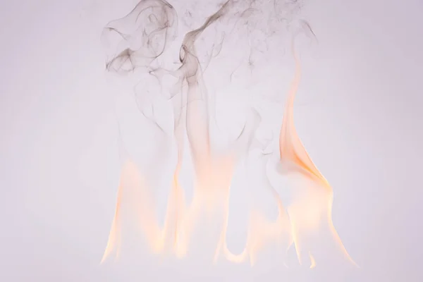 Fire white background Images - Search Images on Everypixel