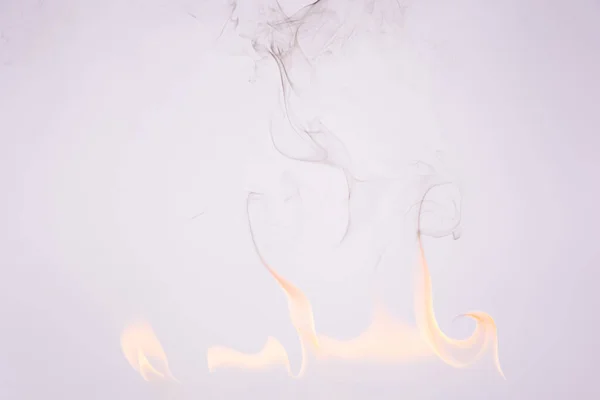 Fire white background Images - Search Images on Everypixel