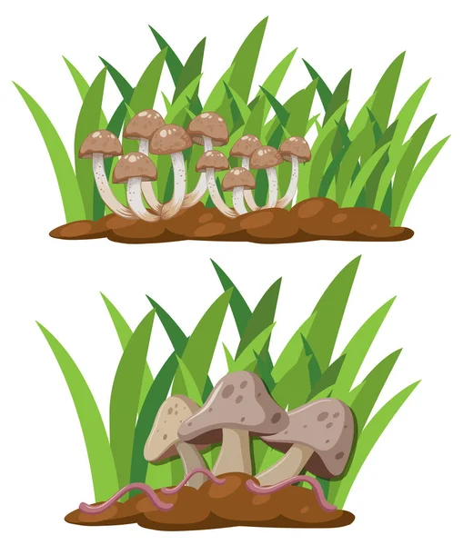 Decomposers Fungi Cartoon